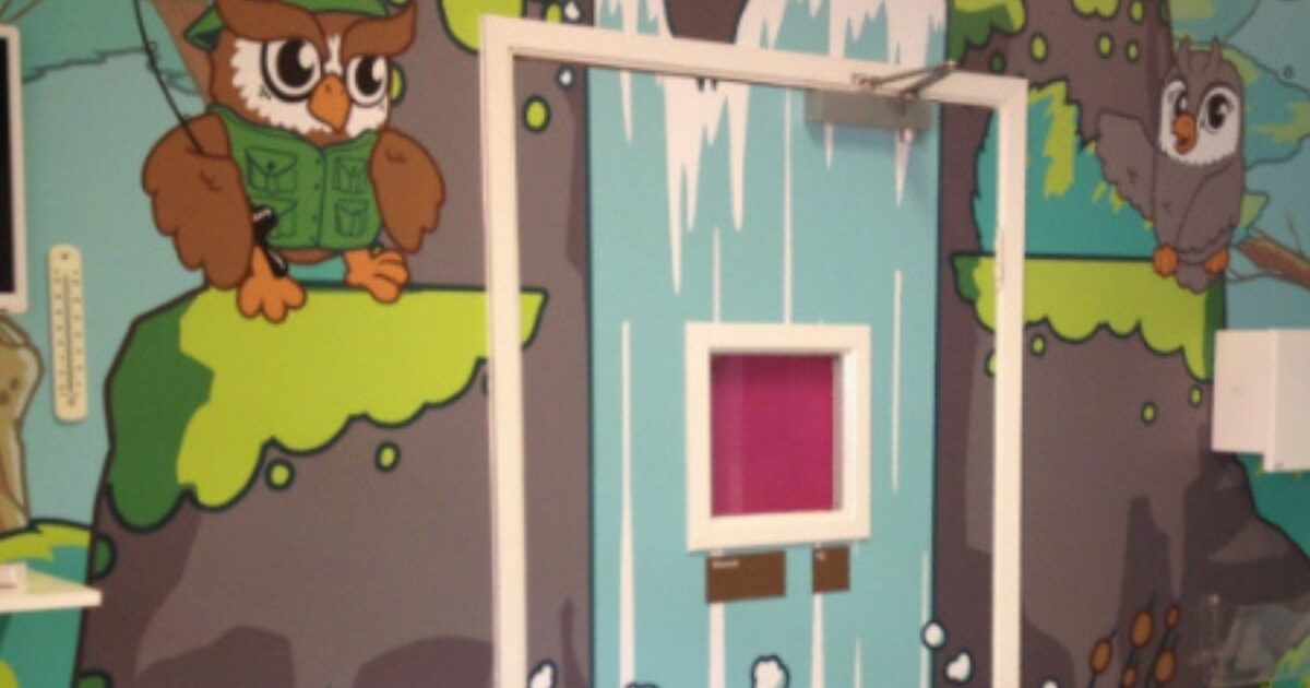 Epsom owl isolation room - Momentum Children's Charity