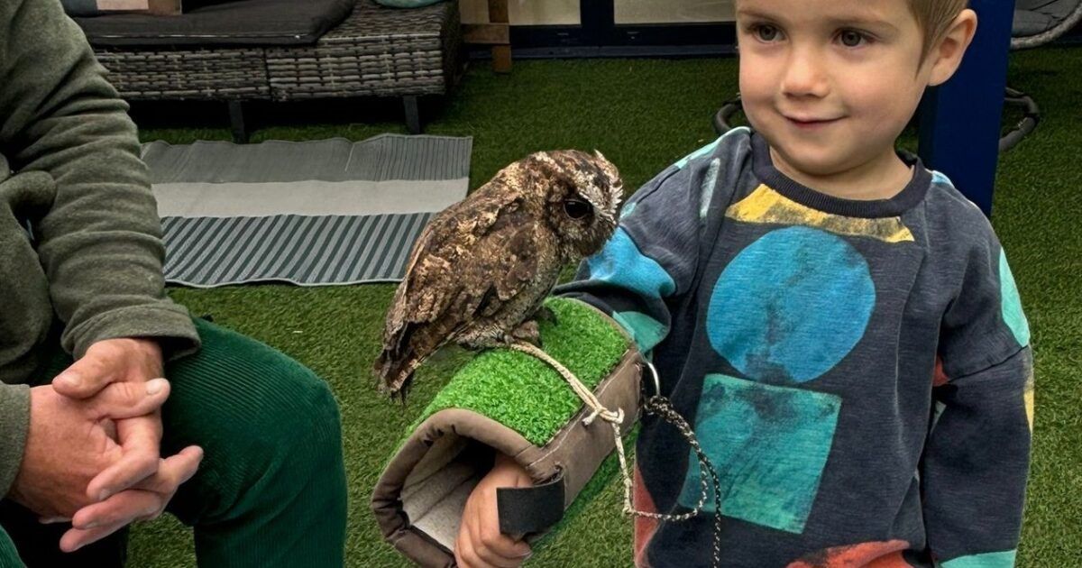 Having a hoot for Halloween - Momentum Children's Charity