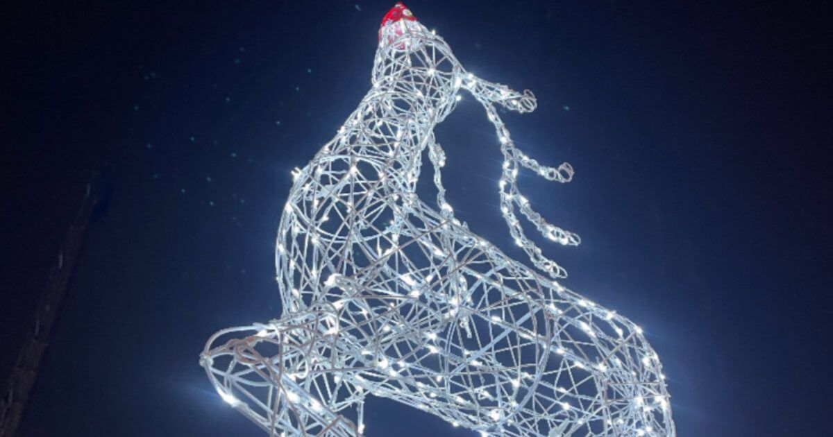 Festive fun as ‘The Esher Reindeer’ lights up road - Momentum Children ...